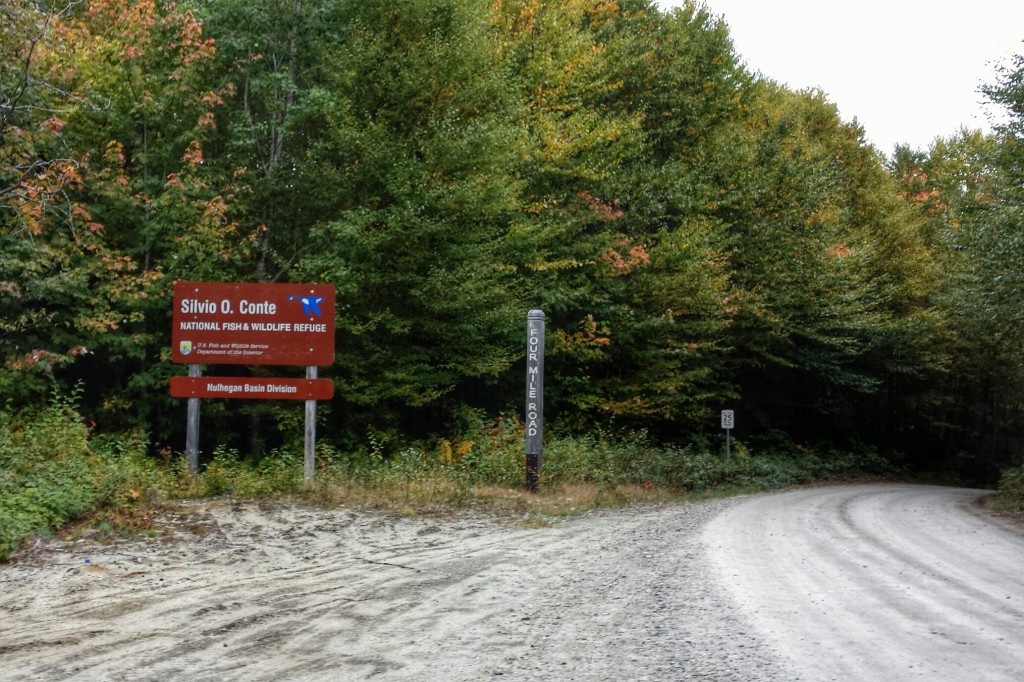September | 2014 | Island Pond, VT Weather & Webcam NEK